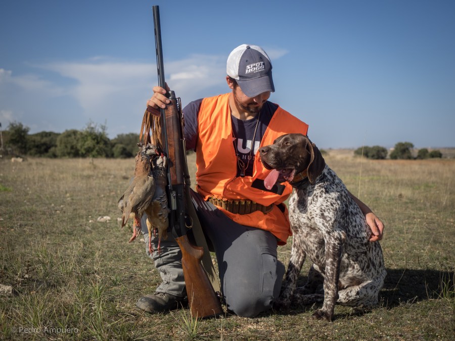 ABOUT – PEDRO AMPUERO